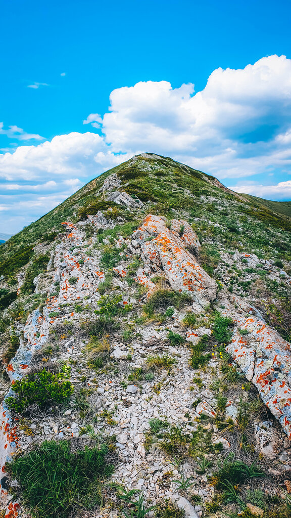 Dağ zirvesi гора Волчий дол, Başkurdistan, foto