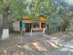 Safishar_shymkent (Ermanov kóshesi No:8), kutlama ürünleri  Çimkent'ten (Şımkent'ten)