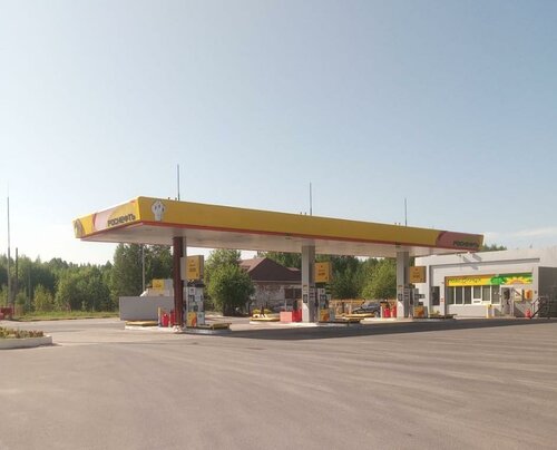 Benzin istasyonu Rosneft, Arhangelskaya oblastı, foto