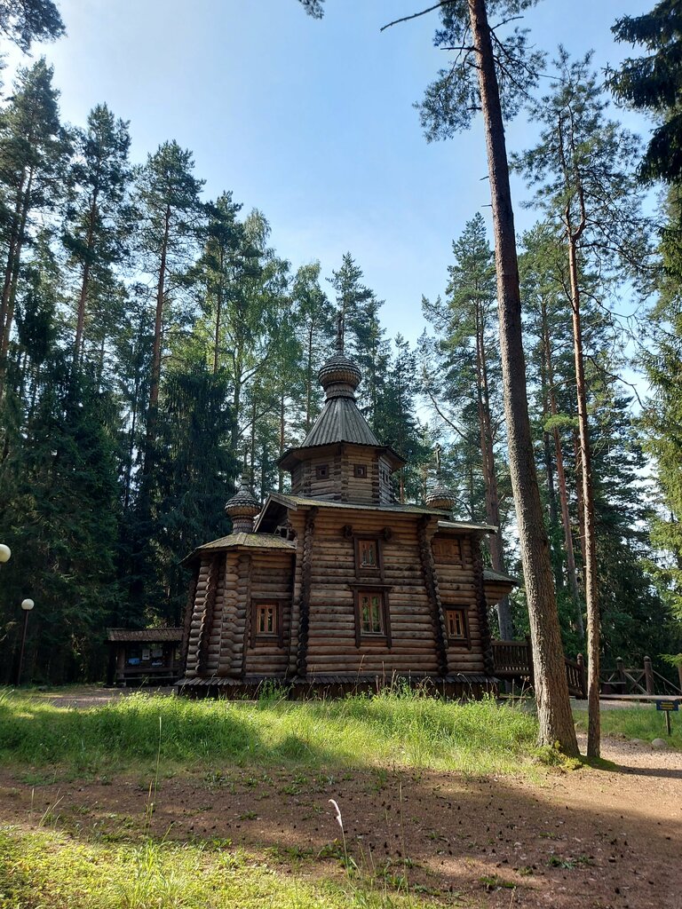 Ortodoks kiliseleri Церковь преподобного Сергия Радонежского, Novgorodskaya oblastı, foto