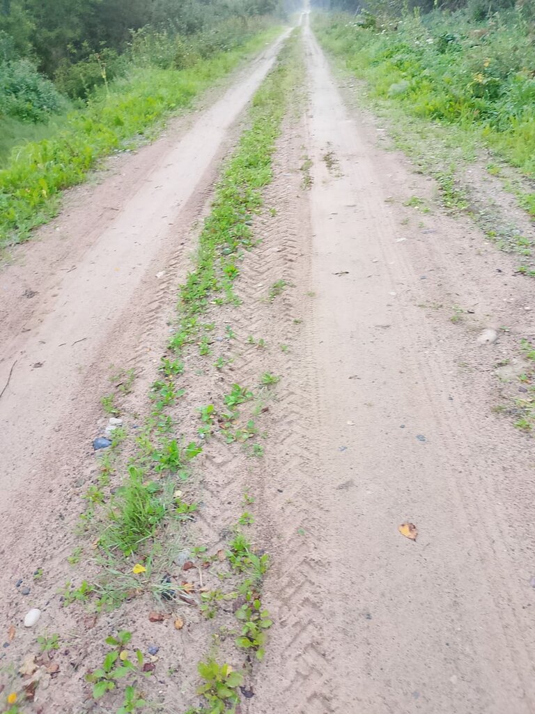Yol yapımı ve bakımı Dsu-3, Ostrov, foto