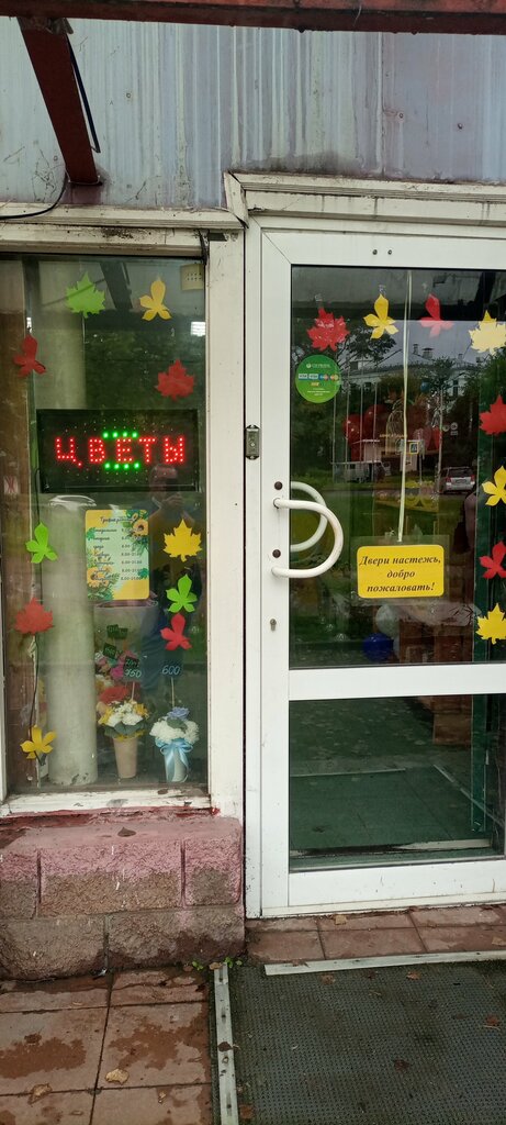 Çiçekçiler Цветочный дворик, Zheleznogorsk, foto