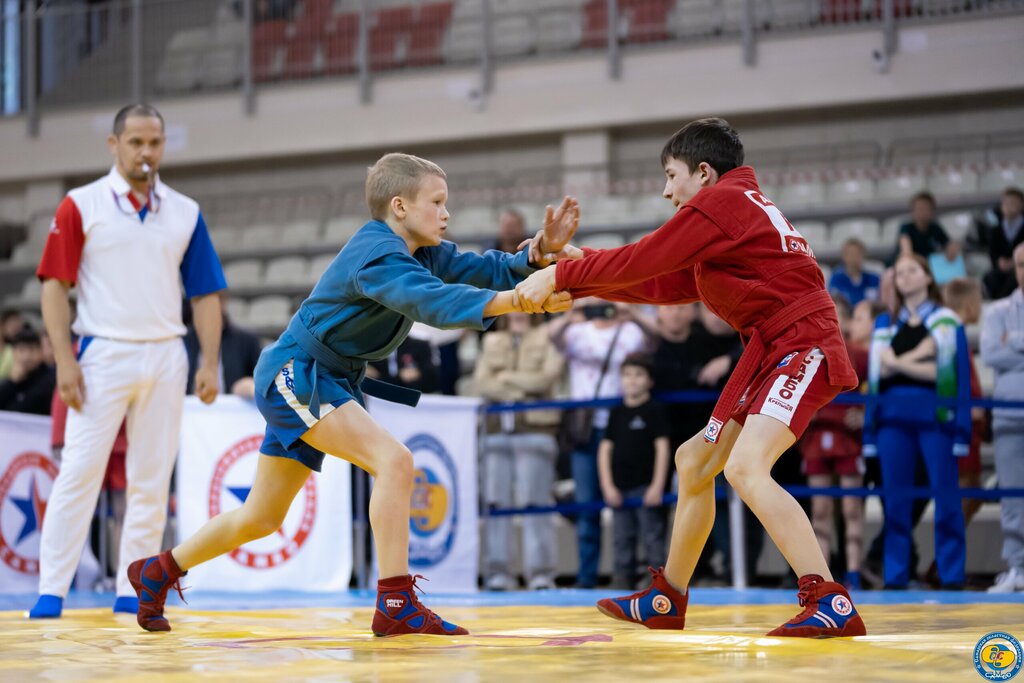 Spor kulüpleri Sambo metall, Samara, foto