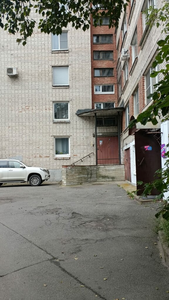 Kuru temizlemeciler Chistotronik, Saint‑Petersburg, foto