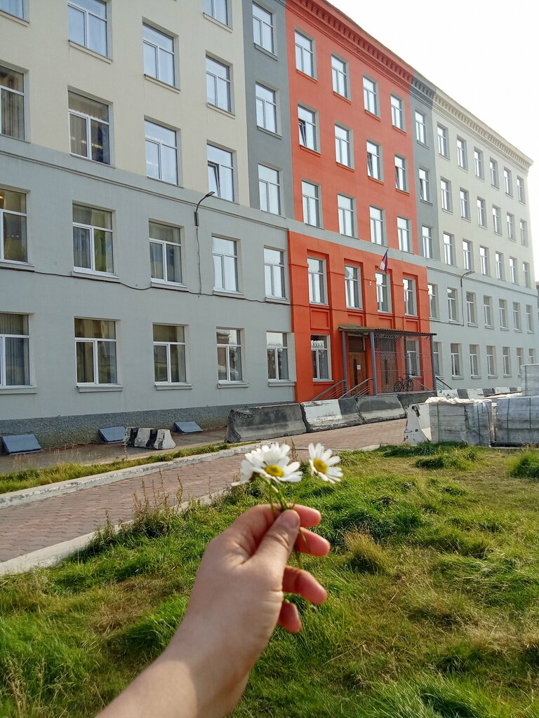 Kurs Социально-образовательный центр, Norilsk, foto