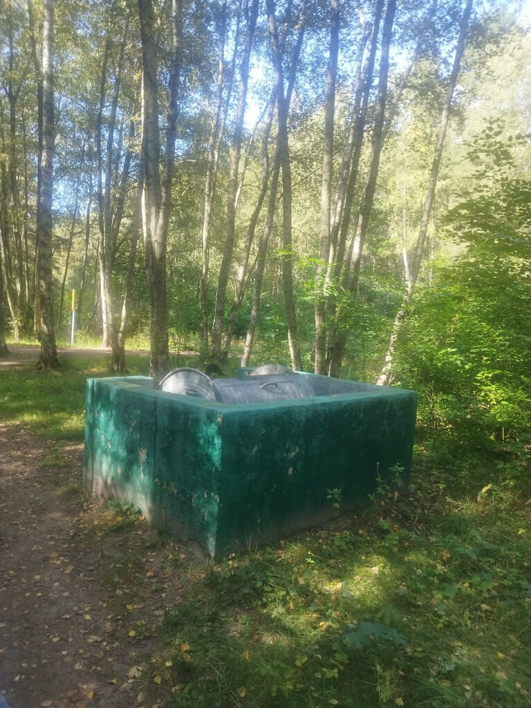 Çöp alanları Trash and garbage disposal area, Moskova, foto