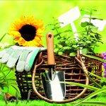 Сад и Огород (Октябрьская улица No:158), bahçecilik mağazaları  Canköy'den