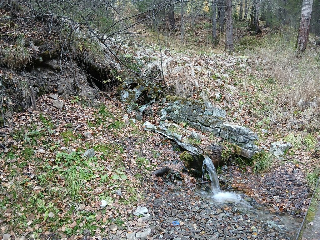 Pınar, çay Spring, stream, Serov, foto