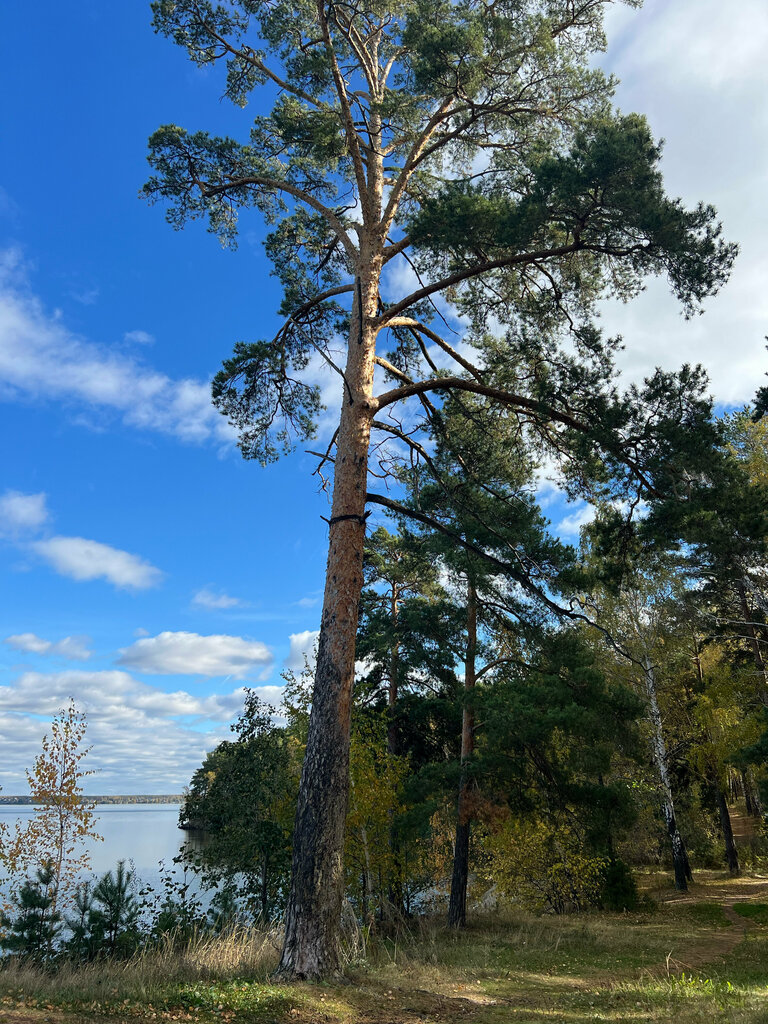 Seyir terası Смотровая площадка, Ozersk, foto