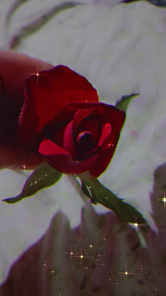 Süpermarket Uzum, Fergana, foto