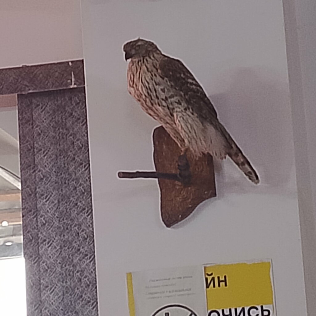 Market Omar Minimarket, Aktöbe eyaleti, foto