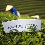 Чайный Отдел (Solnechnaya Street No:36Б), çay mağazaları  Samara'dan