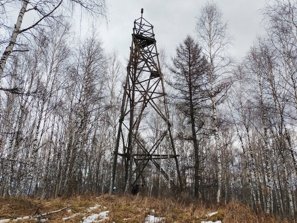 Dağ zirvesi Берёзовая гора, Hakasya, foto