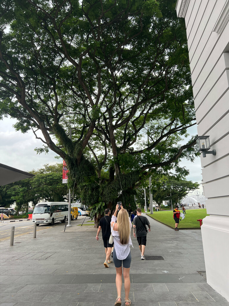 Kültür ve eğlence parkları Esplanade Park, Singapur, foto