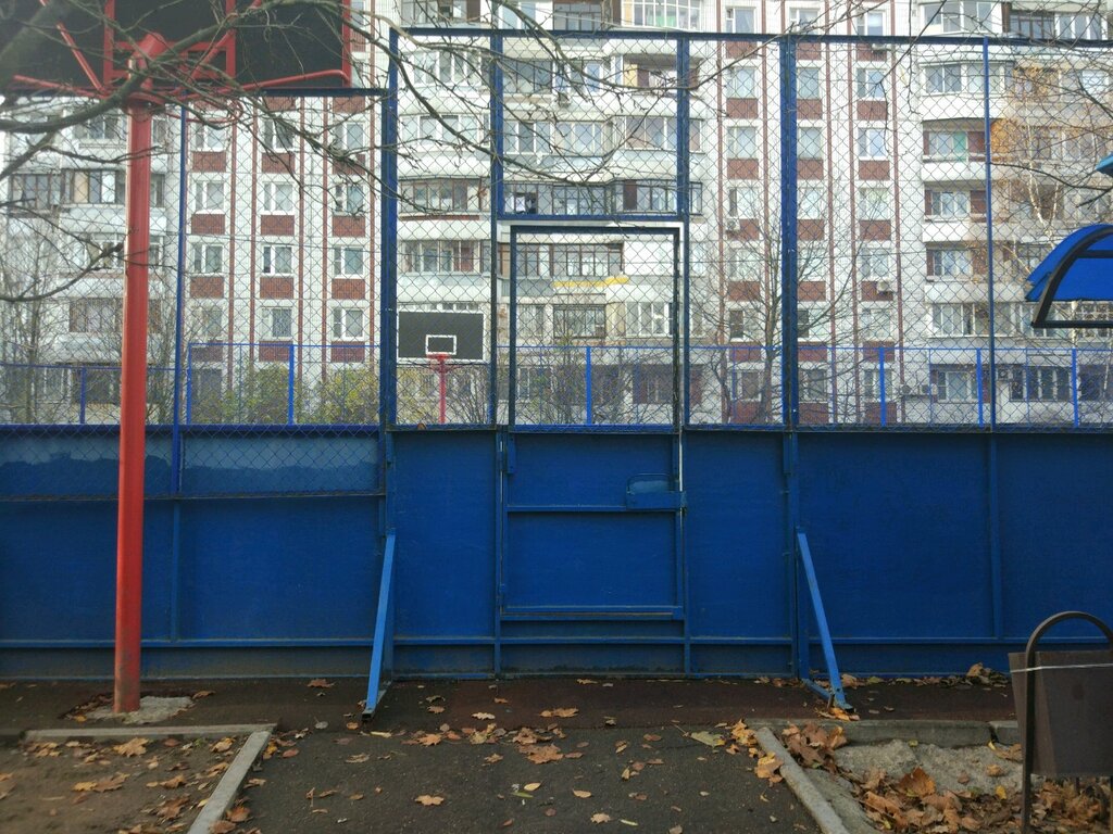 Spor alanı Dvorovaya territoriya, Moskova, foto