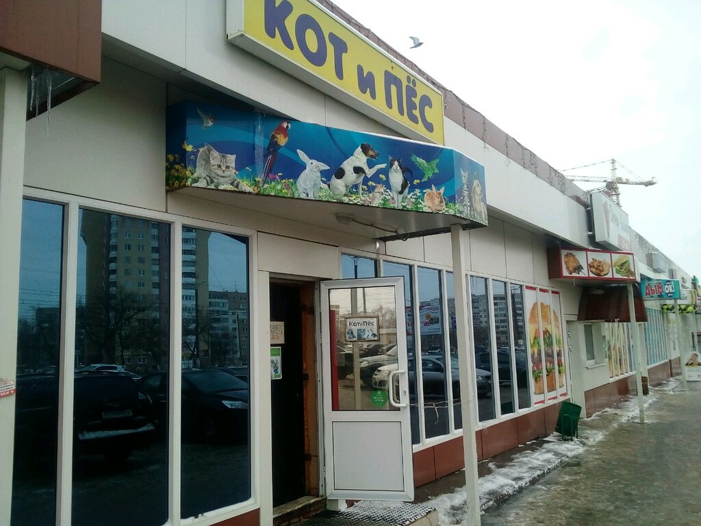 Petshop Kot i Pes, Saransk, foto