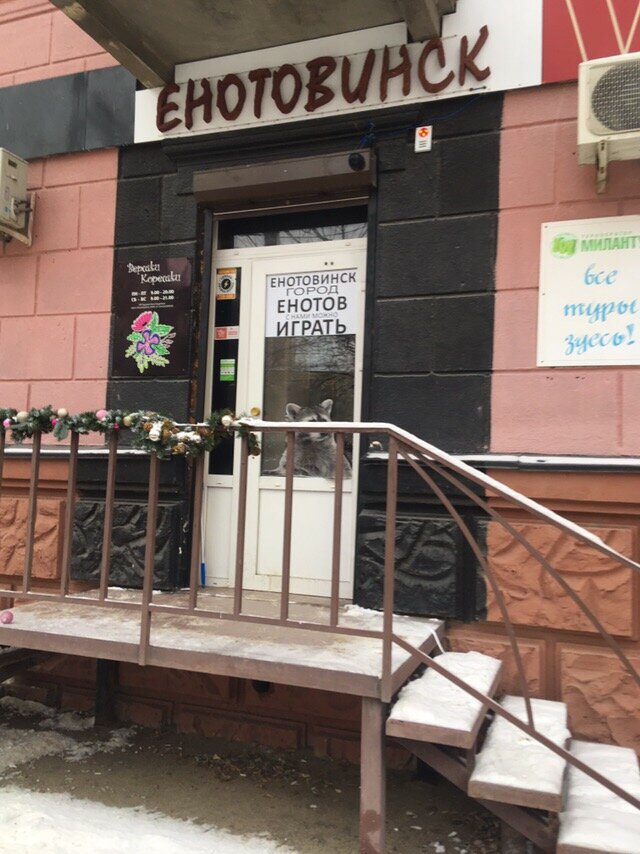 Hayvanat bahçeleri Enotowinsk, Volgograd, foto