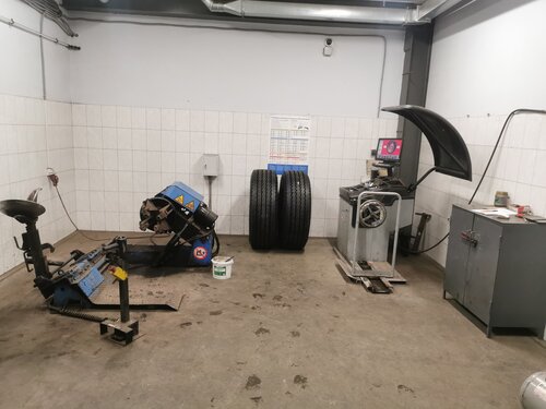 Otomobil servisi Tsentr-Servis Zapad, Smolenskaya oblastı, foto