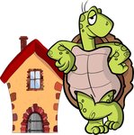 Turtle House (Volokolamskoye Highway No:44с2), i̇ç dekorasyon ürünleri  Klin'den