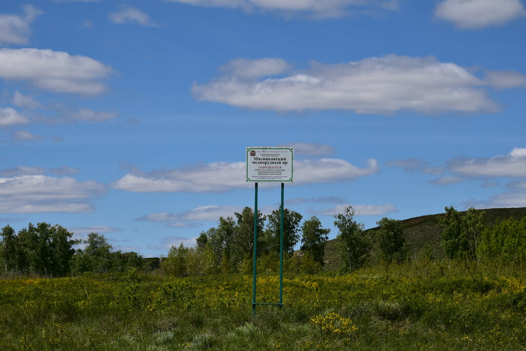 Doğa Геологический памятник природы Мясниковский меднорудный яр, Orenburgskaya oblastı, foto