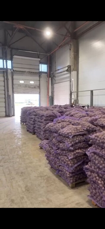 Gıda üreticileri Pogarskaya kartofelnaya fabrika, Brianskaya oblastı, foto