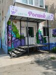 Росток (ulitsa Lenina No:19), çiçekçiler  Gay'dan