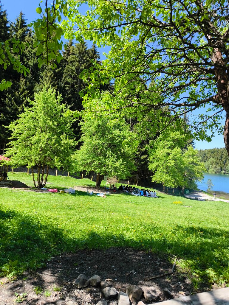 Parklar ve ormanlar Karagöl Sahara Milli Parkı, Şavşat, foto