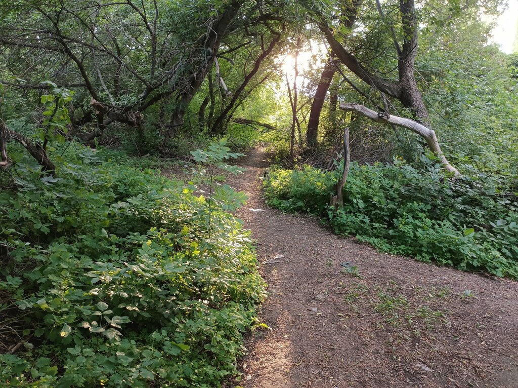 Meydan Сквер имени Кирова, Saratov, foto
