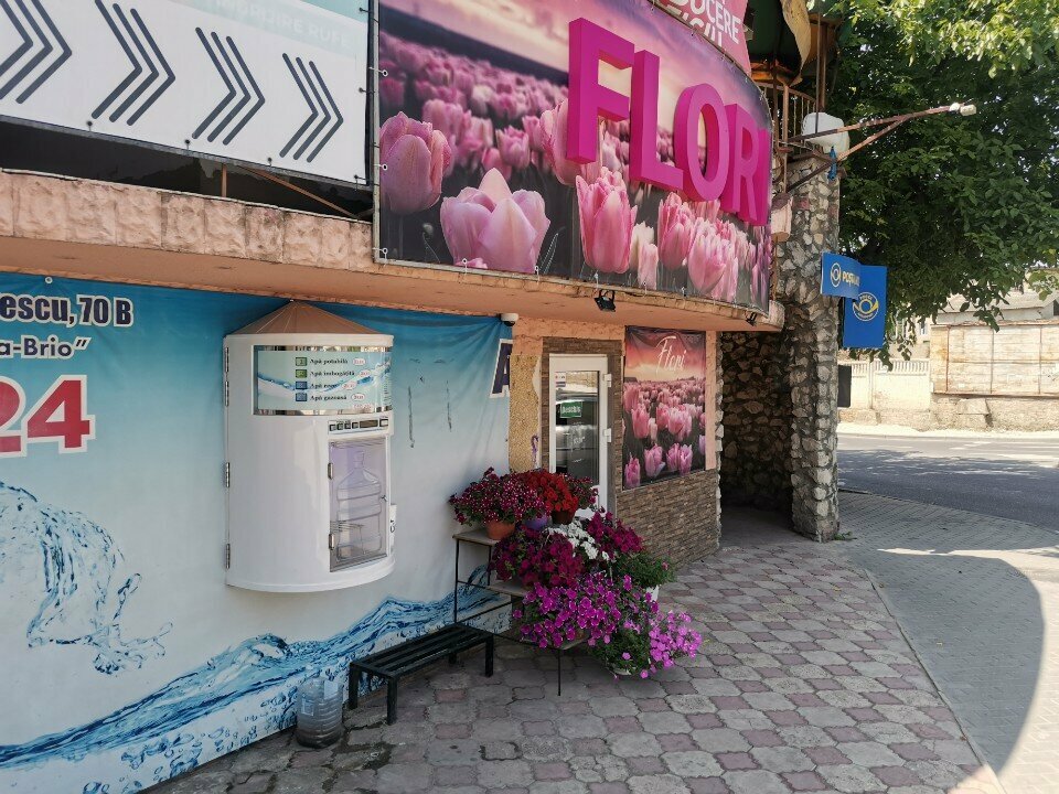 Su satışı Vânzarea Apei, Dünya, foto