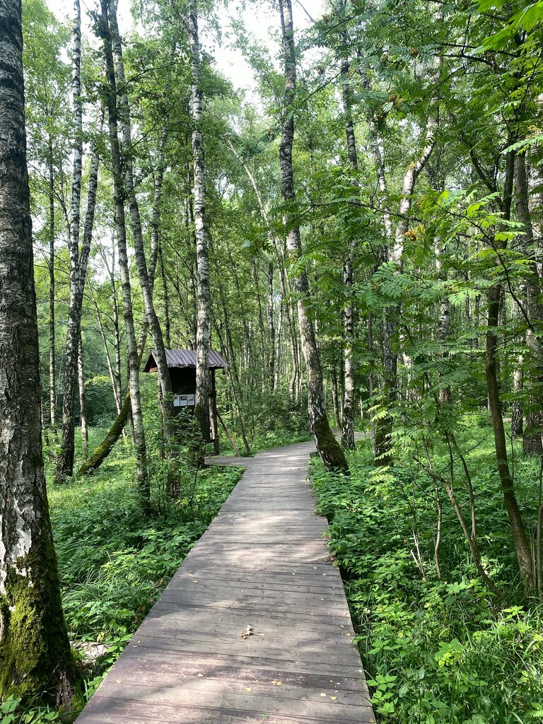 Çardak Gazebo, Moskova, foto