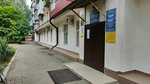 Zhenskaya Konsultatsiya № 4, Muz (ulitsa Kotovskogo No:98, Tsentralniy Microdistrict), kadın hastalıkları ve doğum dispanserleri  Krasnodar'dan