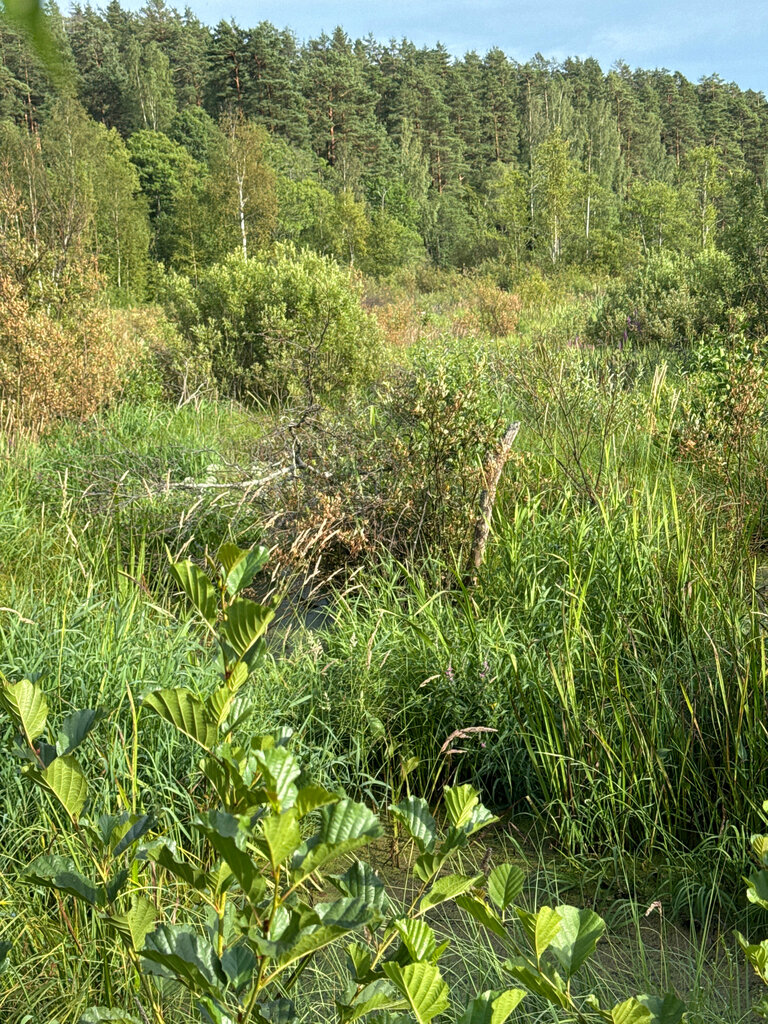 Tatil altyapısı Хатка бобра, Saint‑Petersburg ve Leningradskaya oblastı, foto