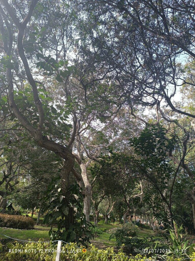 Turistik yerler Botanical Garden of Trujillo, Trujillo, foto