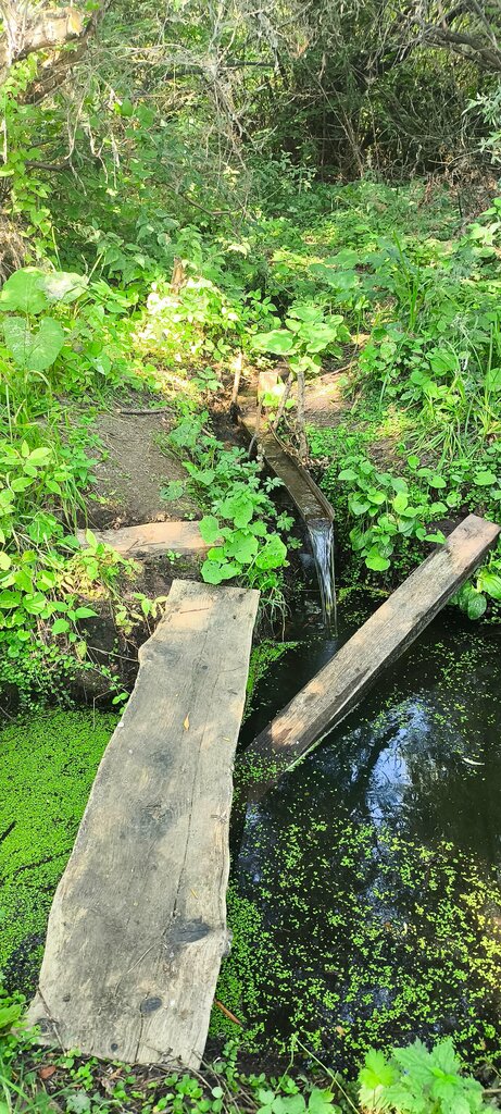 Pınar, çay Spring, stream, Tataristan, foto