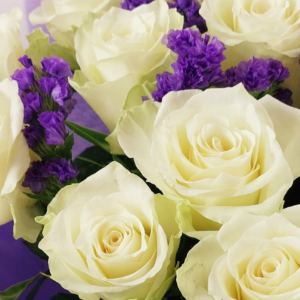 Çiçekçiler Gorcvety, Moskova, foto