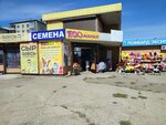 Zooмания (No:6/2, 22-y mikrorayon), petshop  Angarsk'tan