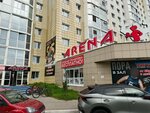 Атлет (Tyumenskiy Highway No:8), spor kulüpleri  Surgut'tan