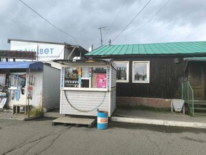 Фуд-киоск (Kosmonavta Leonova Street No:82), fast food  Perm'den