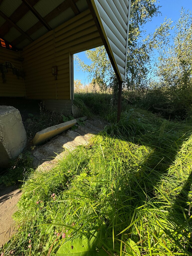 Pınar, çay Источник, Lipetskaya oblastı, foto