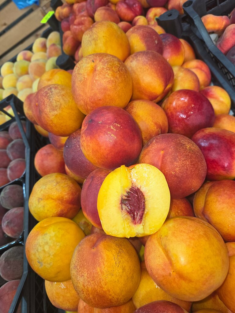 Manavlar Дамир, Krasnodar, foto