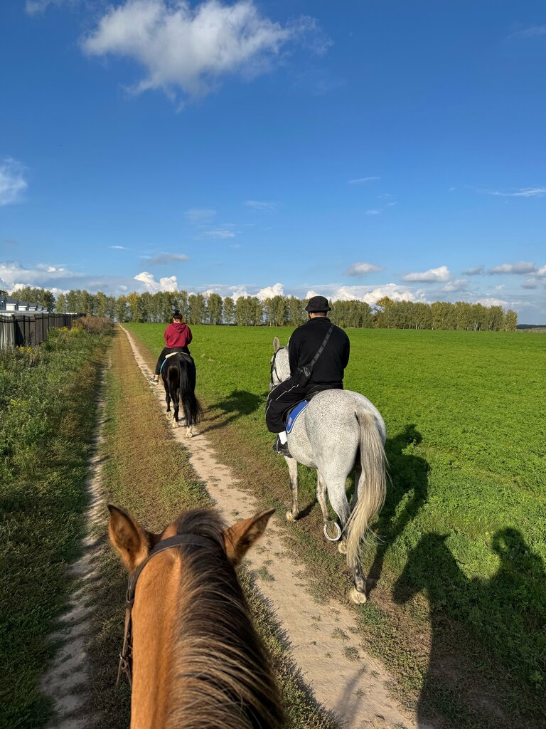At ve binicilik kulüpleri Конный дворик, Nijegorodskaya oblastı, foto