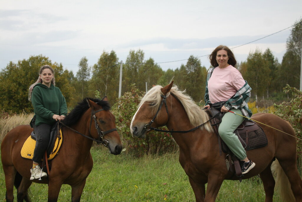 At ve binicilik kulüpleri Вега-Ренессанс, Kostromskaya oblastı, foto