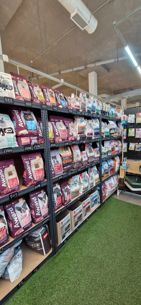 Petshop Жил-был Джо, Izhevsk, foto