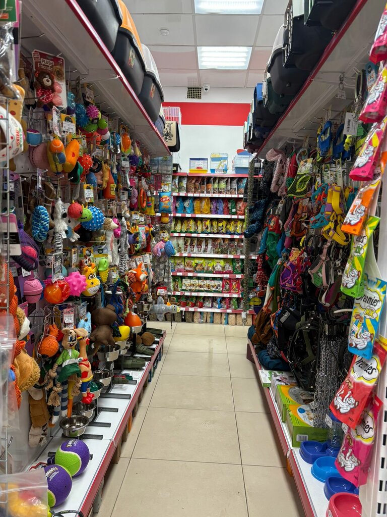 Petshop Зоодруг, Nijni Novgorod, foto