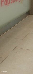 Fast food Pap'sBurger, Yakutsk, foto