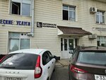 Yoga u doma (Pushkarskaya Street No:51), yoga stüdyosu  Perm'den