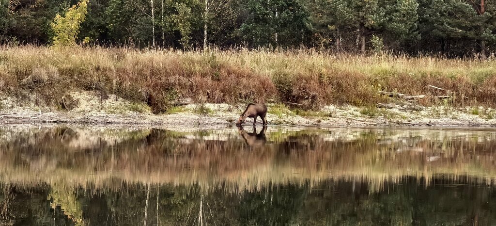 Turistik yerler Исток реки Гафониха, Ulyanovskaya oblastı, foto