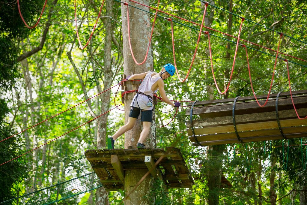 i̇pli oyun park Jungle Xtrem Zipline Park, , foto