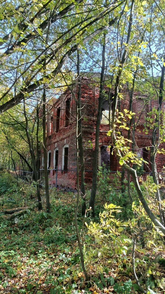 Turistik yerler Богадельня имени И.И. Карзинкина, Yaroslavl, foto