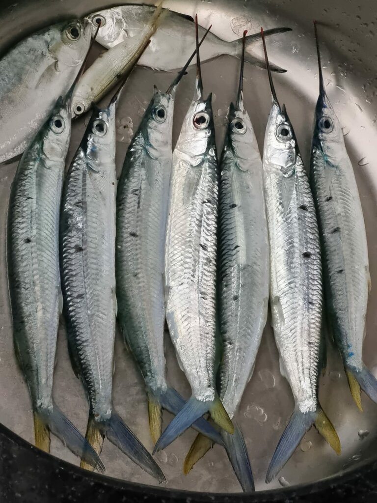 Otel Arpaçbahşiş İskele, Erdemli, foto